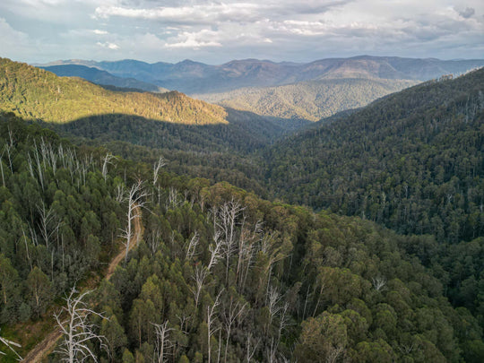 Prova Molti - Custom Gravel Bike – FYXO